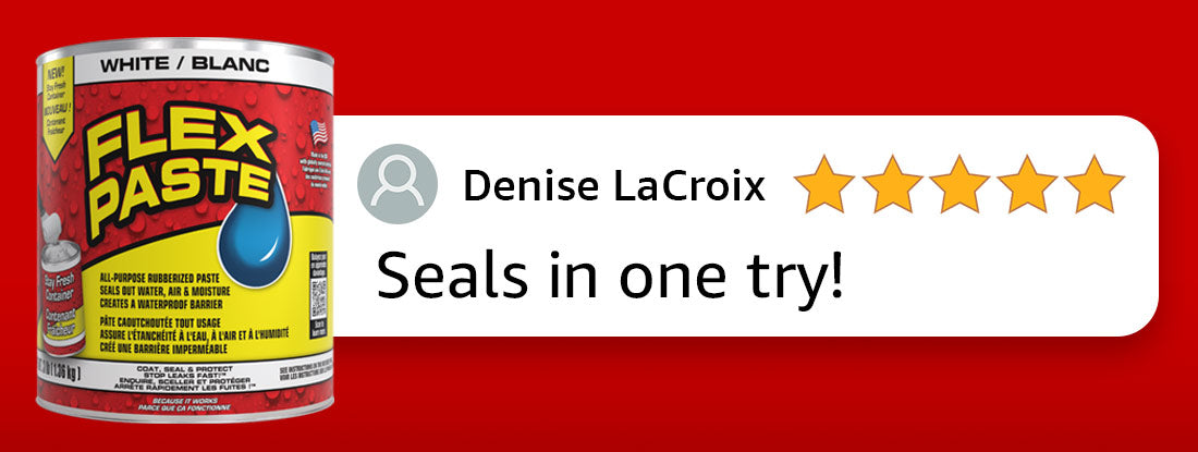 Flex Paste Superstars Master DIY Repairs – Flex Seal Canada